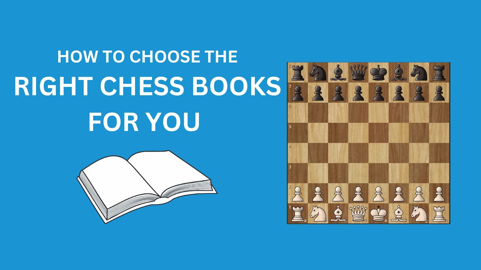How To Choose The Right Chess Books For You – US Chess Sales