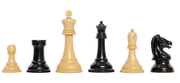 Our Complete Guide to Chess Titles – US Chess Sales