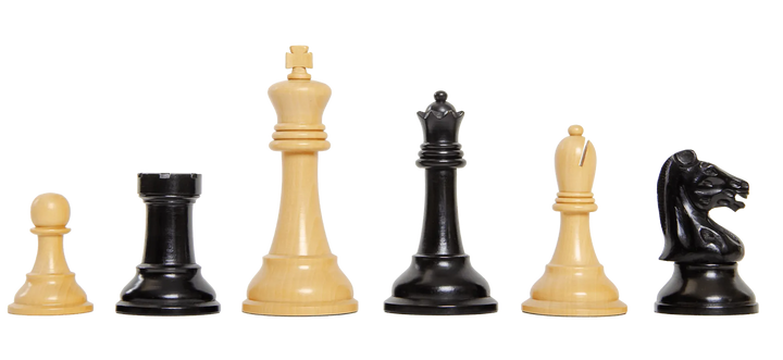Our Complete Guide to Chess Titles – US Chess Sales
